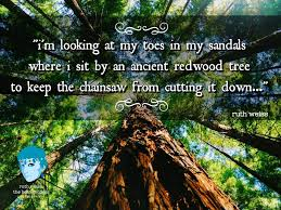 Jazz History Database